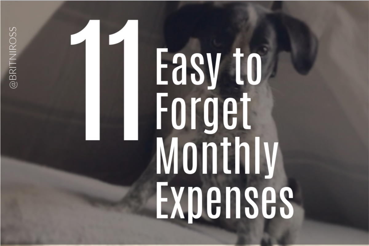 Don’t Forget to Include these 11 Expenses in your Monthly Budget ⋆ ...